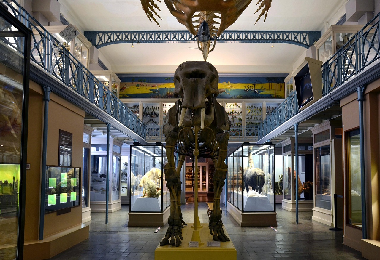 Paris France Museum Of Natural - Free photo on Pixabay - Pixabay