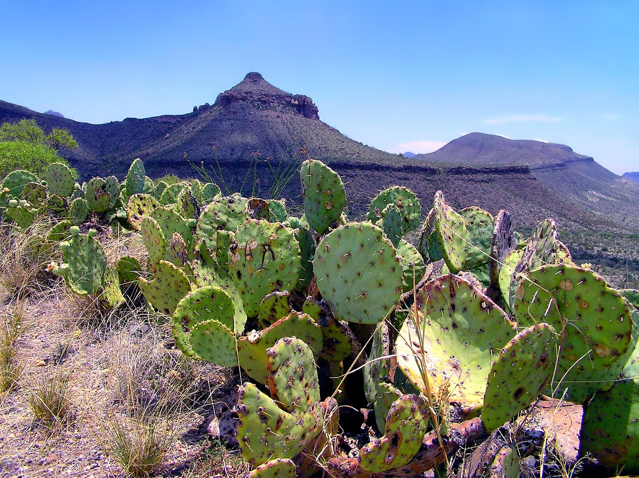 Big Bend Texas Landscape - Free photo on Pixabay - Pixabay