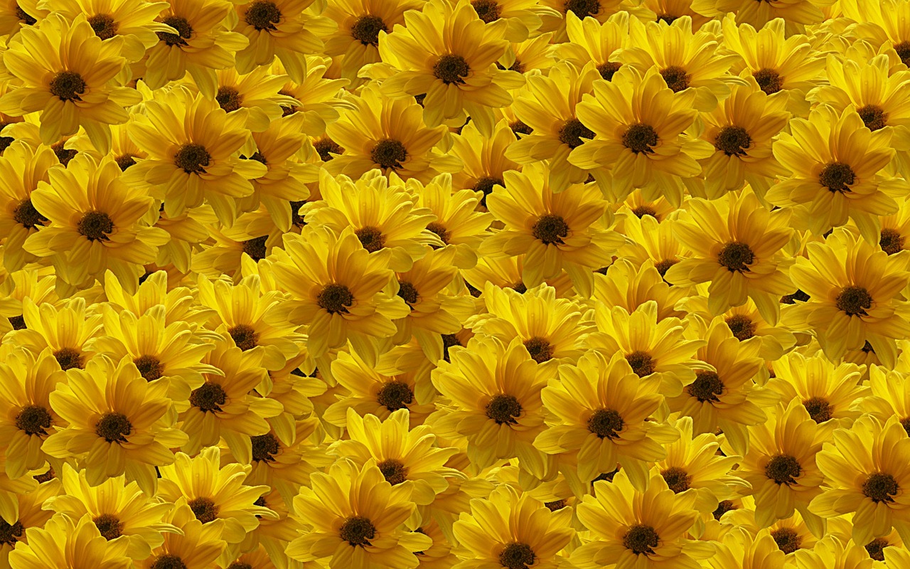 Flor Amarillo Naturaleza - Imagen gratis en Pixabay