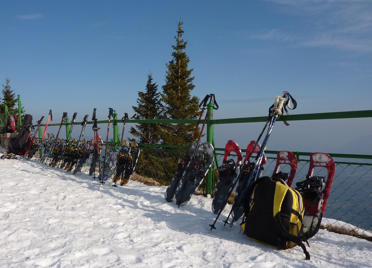 100+ Free Snowshoeing & Snowshoes Images - Pixabay