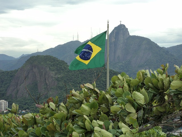 Brazil Flag Green - Free photo on Pixabay