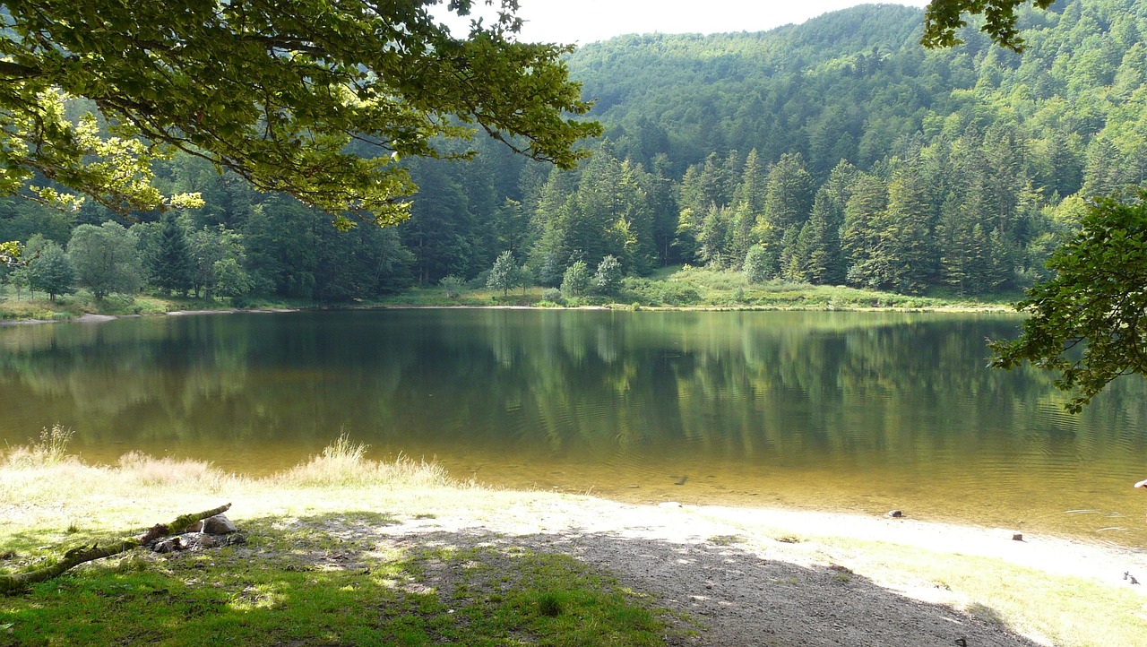 Plus de 100 images de Vosges et de Alsace - Pixabay