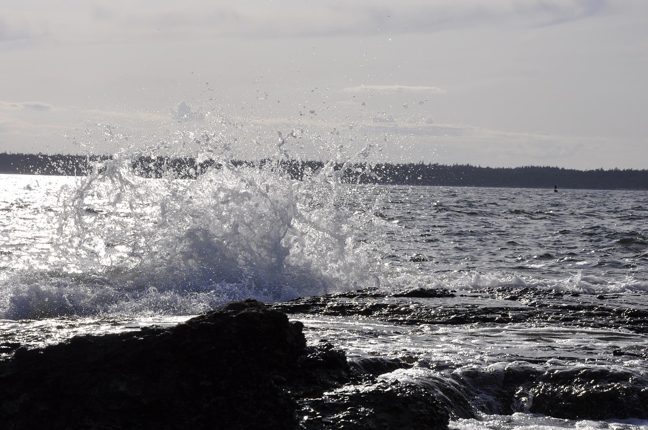 Agua Splash - Foto gratis en Pixabay - Pixabay