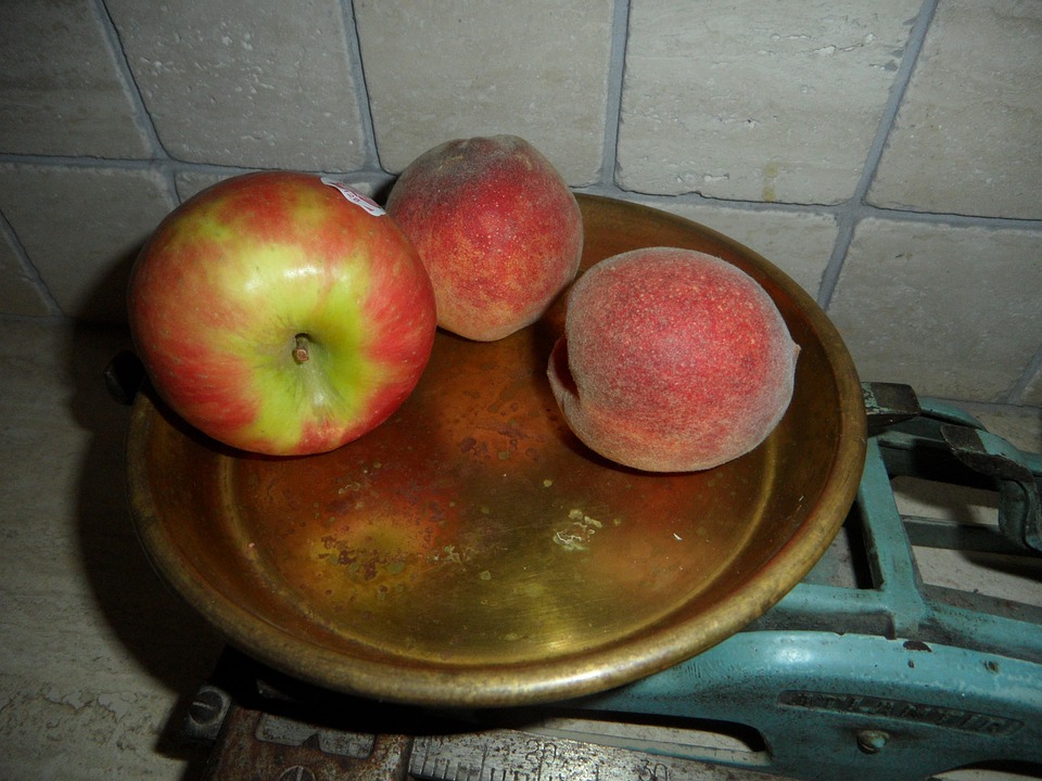 Libra Pan Fruta - Foto gratuita no Pixabay