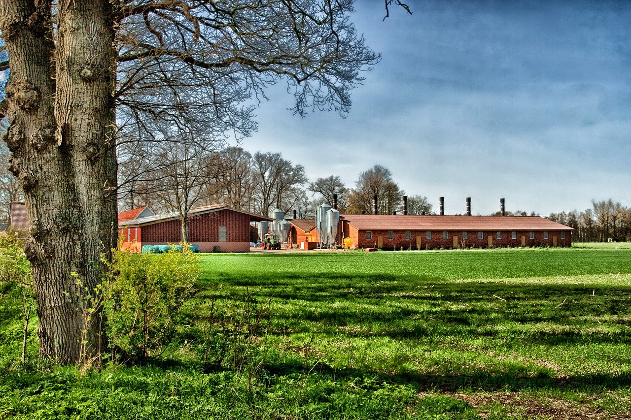 Cloppenburg Germany Farm - Free photo on Pixabay