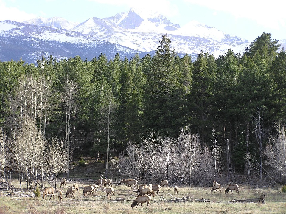 Colorado Mountains Landscape - Free photo on Pixabay