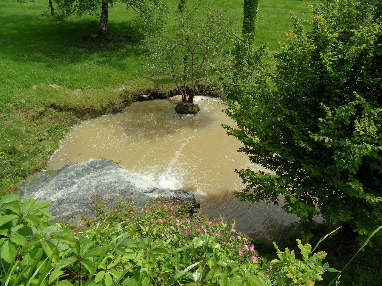 Arroyo Naturaleza Cuenca - Foto gratis en Pixabay - Pixabay