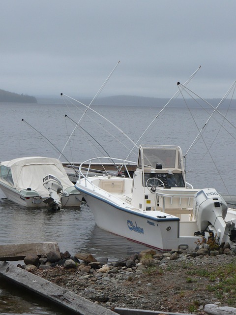 Barcos Pesca Lago - Foto gratis en Pixabay - Pixabay