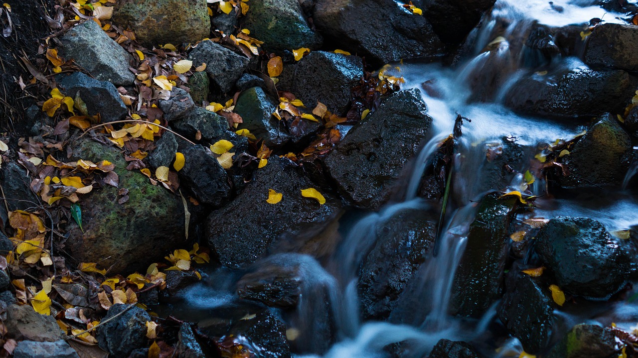 Peste 300.000 de imagini gratuite cu Apa Naturală și Apă - Pixabay