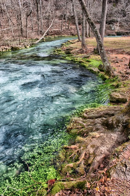 300+ Free Missouri & Nature Images - Pixabay