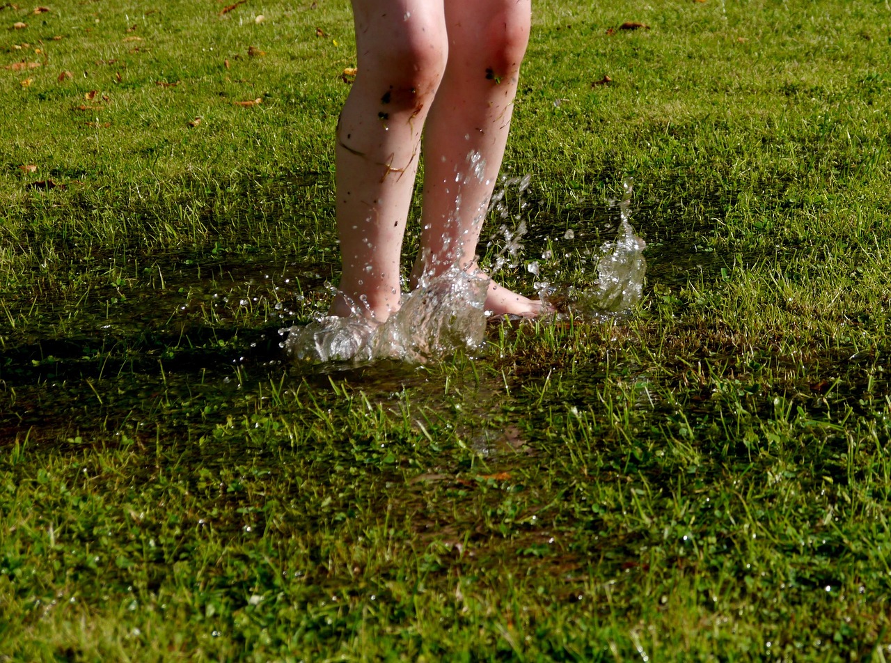 Children'S Feet Water Meadow - Free photo on Pixabay - Pixabay