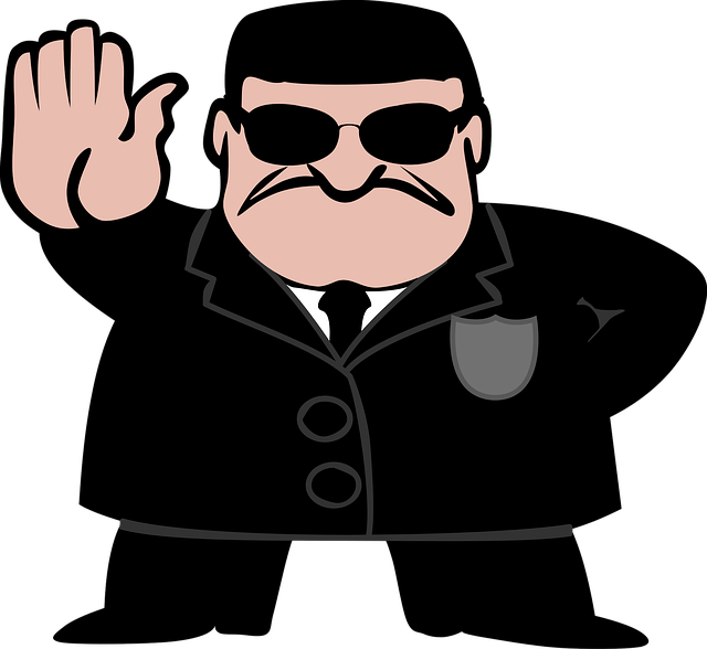 60+ Free Bodyguard & Security Images - Pixabay