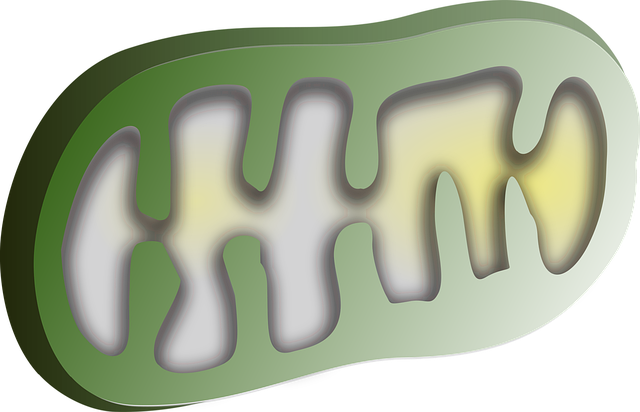 5,000+ Free Cells Biology & Cell Images - Pixabay