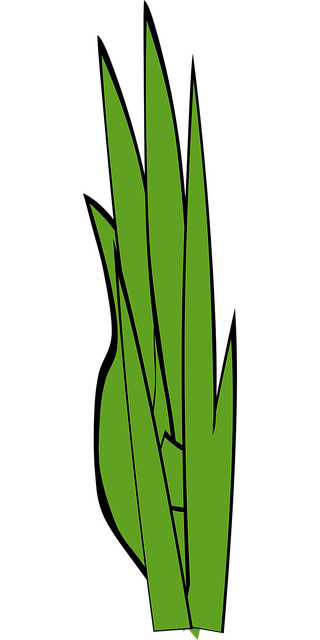 Download Blades Of Grass, Grass, Weed. Royalty-Free Vector Graphic ...