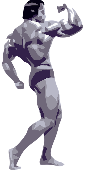 Download Bodybuilding, Posing, Strength. Royalty-Free Vector Graphic ...