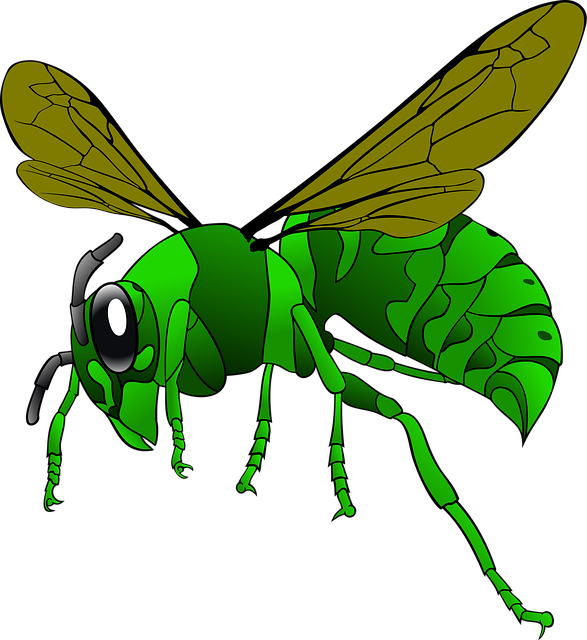 Download Hornet, Bee, Insect. Royalty-Free Vector Graphic - Pixabay