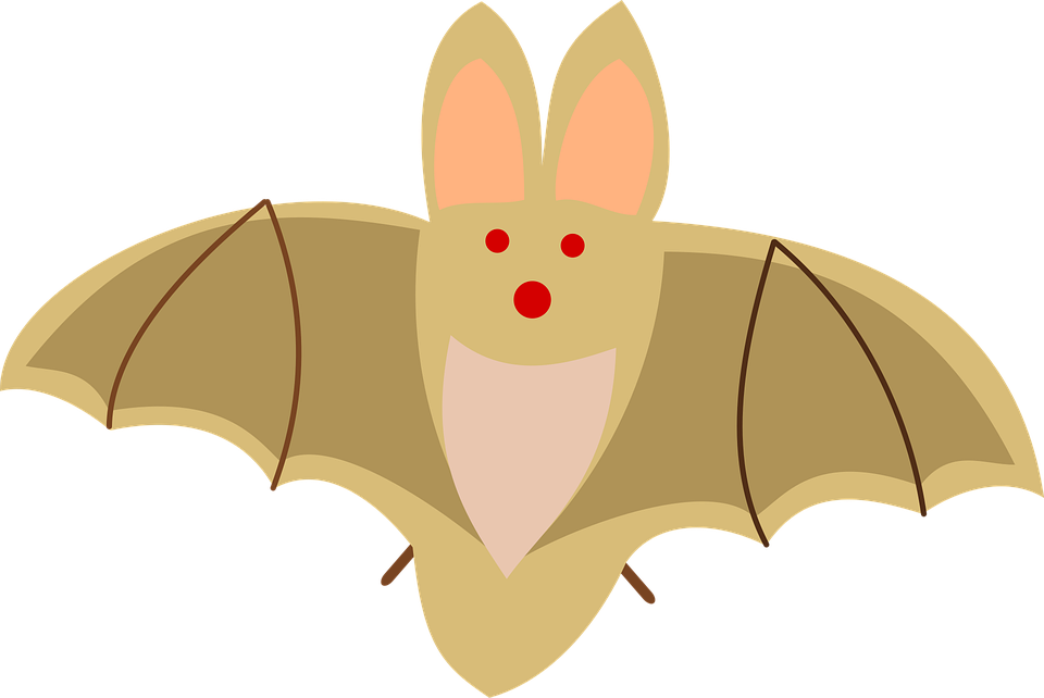 Download Bat, Dracula, Animal. Royalty-Free Vector Graphic - Pixabay