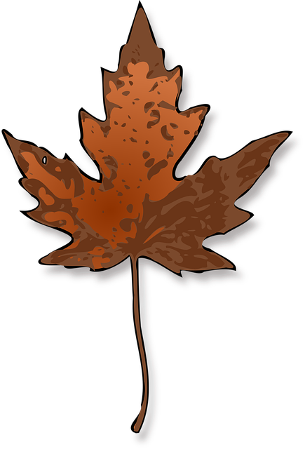 30,000+ Free Canada Maple Leaf & Canada Images - Pixabay