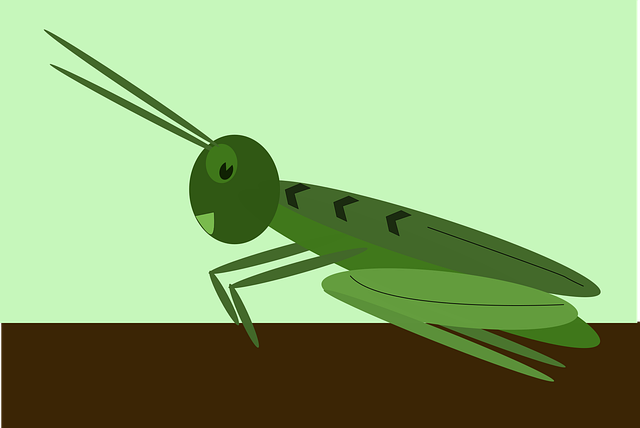 Grasshopper Locust Insect - Free vector graphic on Pixabay
