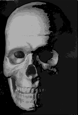 90+ Free Dead Body & Body Images - Pixabay