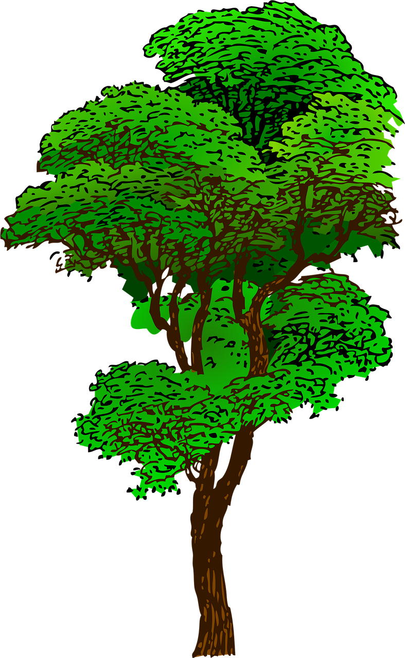 Tree Plant Ecology - Free vector graphic on Pixabay
