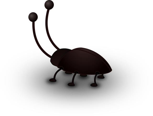 100 Free Cockroach And Insect Images Pixabay