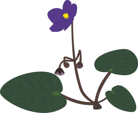 70 Violet Flower Vector - Pixabay