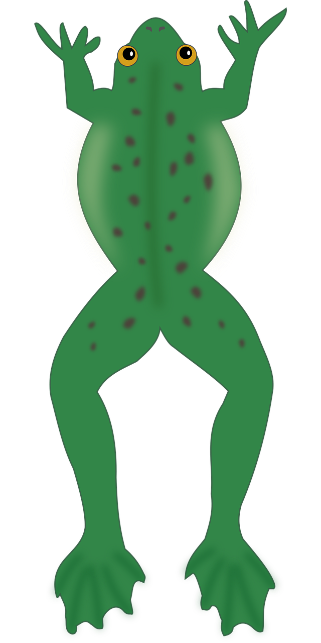 Explore 2,859+ Free Frog Jumping Illustrations: Download Now - Pixabay
