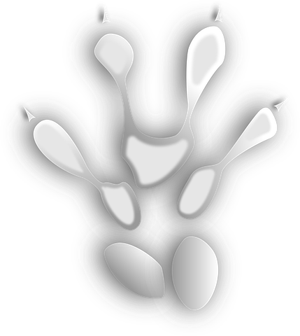 100+ Free Paw Paw & Dog Vectors - Pixabay