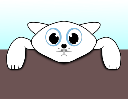 20+ Free Poor Cat & Cat Images - Pixabay