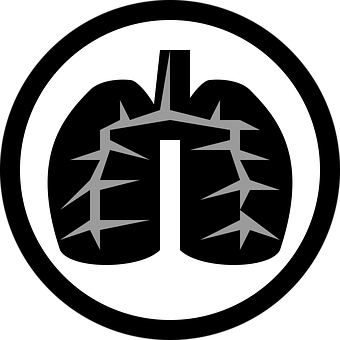 Download Alveoli, Alveolus, Lung. Royalty-Free Stock Illustration Image ...