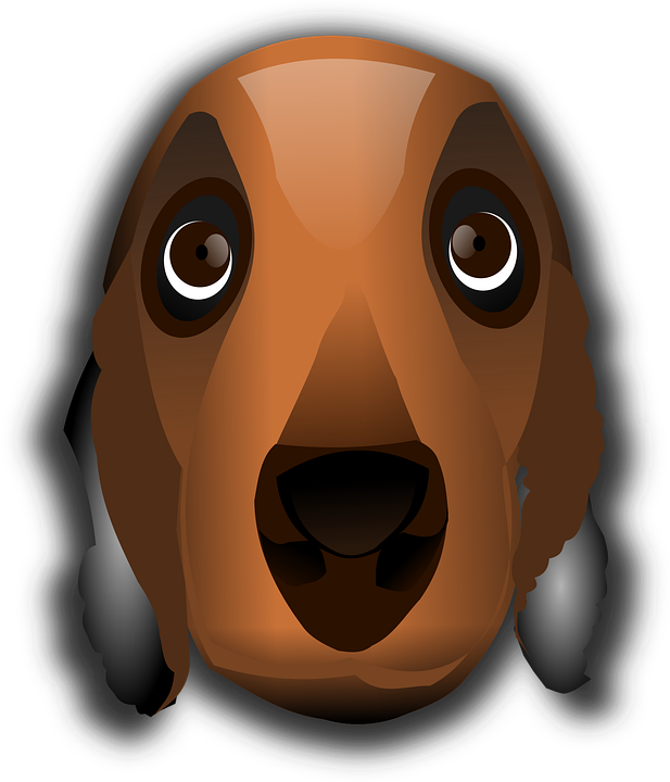 Download Animal, Dog, Head. Royalty-Free Vector Graphic - Pixabay