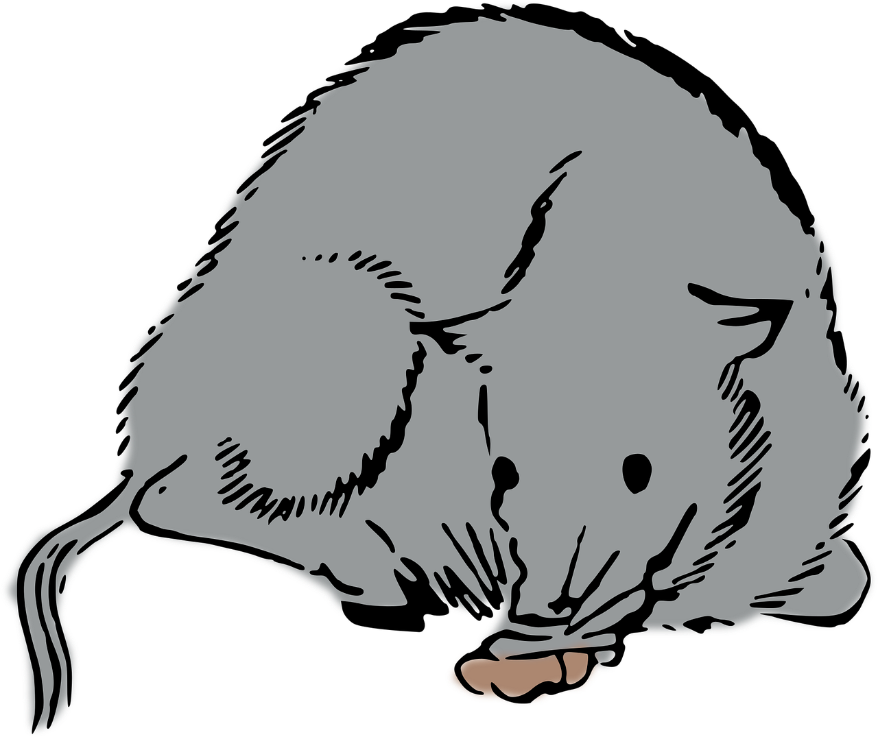 Download Rat, Mouse, Woodcut. Royalty-Free Vector Graphic - Pixabay