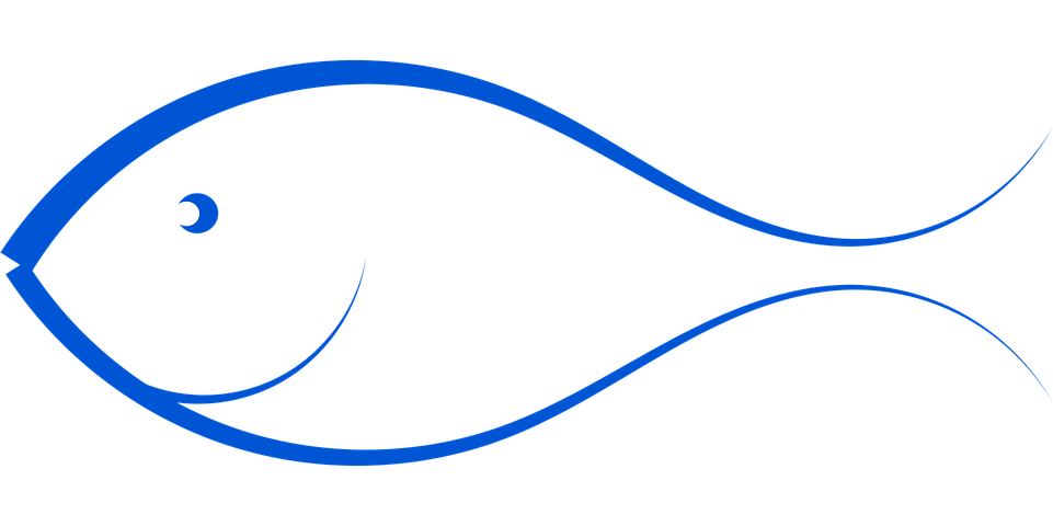 300+ Free Blue Fish & Fish Illustrations