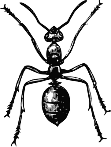 100+ Free Ant & Insect Vectors