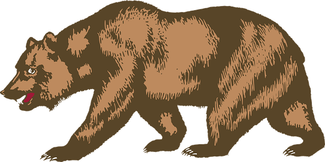Download Bear, Animal, Nature. Royalty-Free Vector Graphic - Pixabay