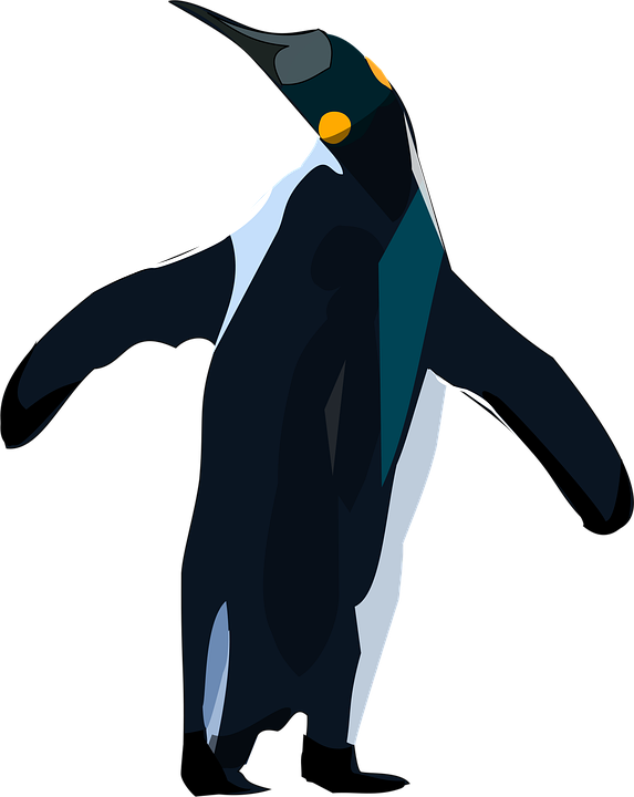 Penguin Animal - Free vector graphic on Pixabay