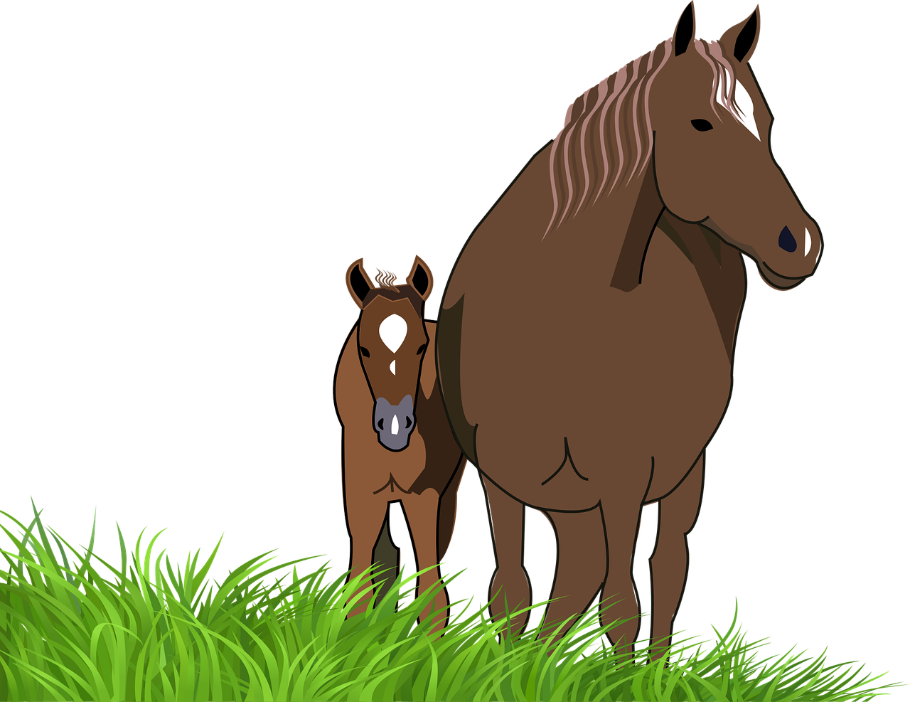 4,000+ Free Mare Foal & Foal Images - Pixabay
