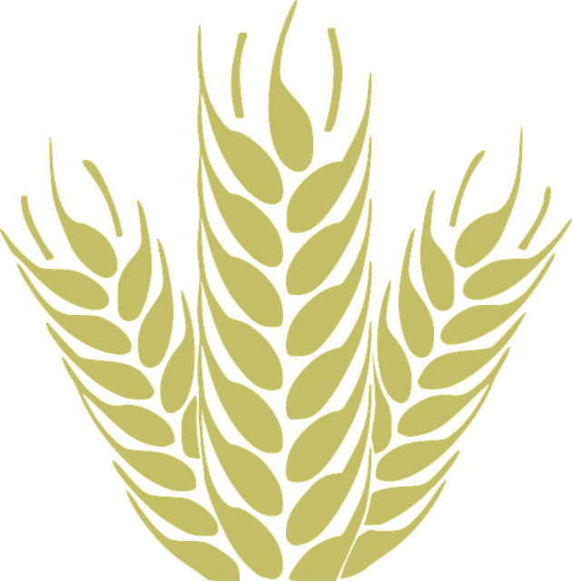 Free Grain Vector Art - Download 134+ Grain Icons & Graphics - Pixabay