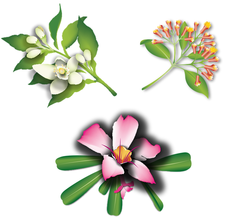 Download Flower Flower Background Beautiful Flowers Royalty-Free Vector ...