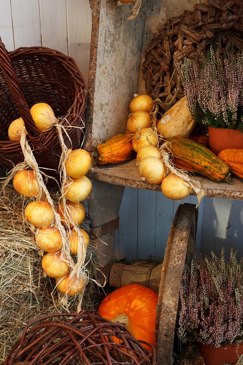 Automne Oignon Oignons - Photo gratuite sur Pixabay - Pixabay