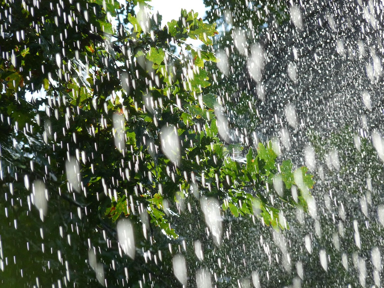 Nature Pluie Printemps - Photo gratuite sur Pixabay