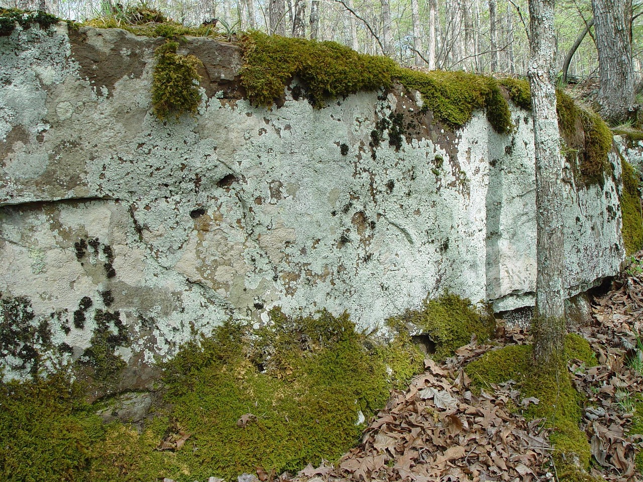 100+ Free Ozarks & Arkansas Images - Pixabay