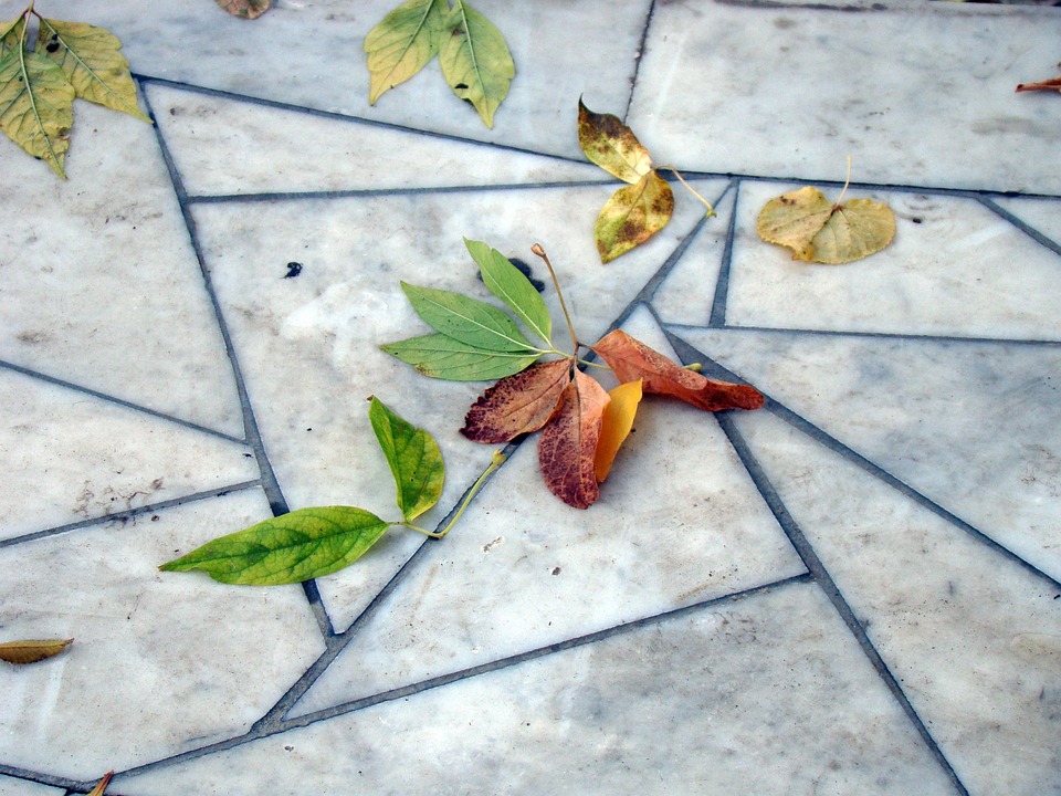 Leaves Autumn Pavement Marble · Free photo on Pixabay