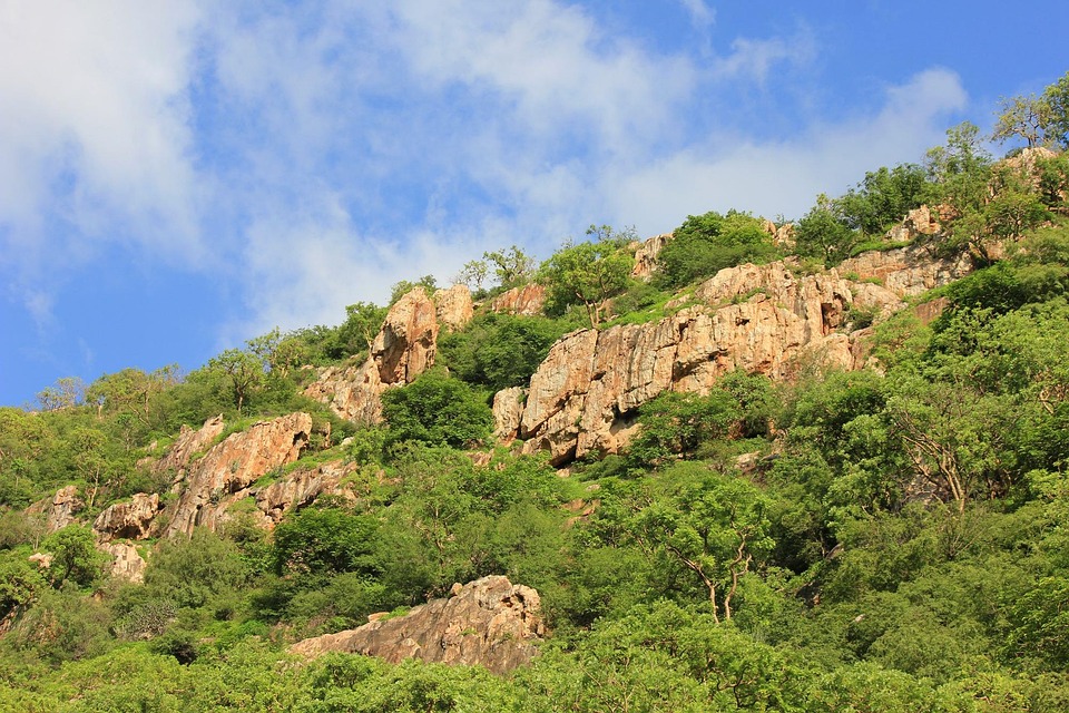 Mountains Green Plants - Free photo on Pixabay - Pixabay
