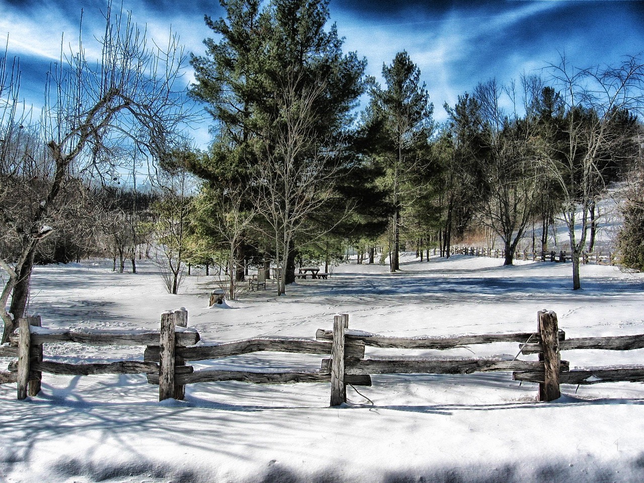 10,000+ Free North Carolina & Nature Images - Pixabay