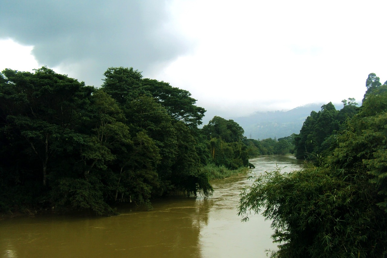 Mahaweli River Green Trees - Free photo on Pixabay - Pixabay