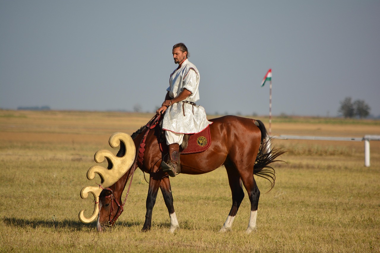 Hungarian Culture Tradition - Free photo on Pixabay - Pixabay