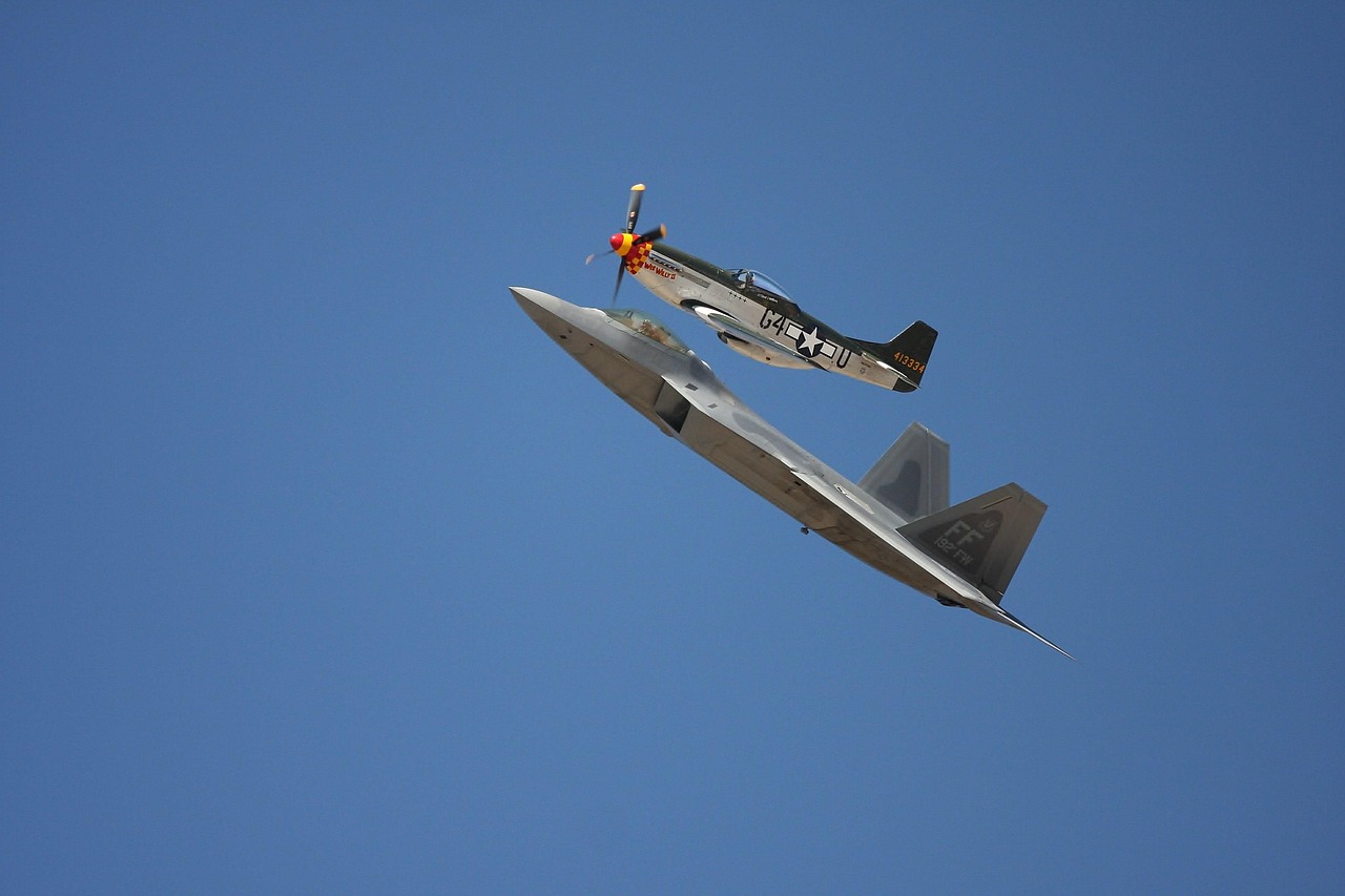 F 15 P 51