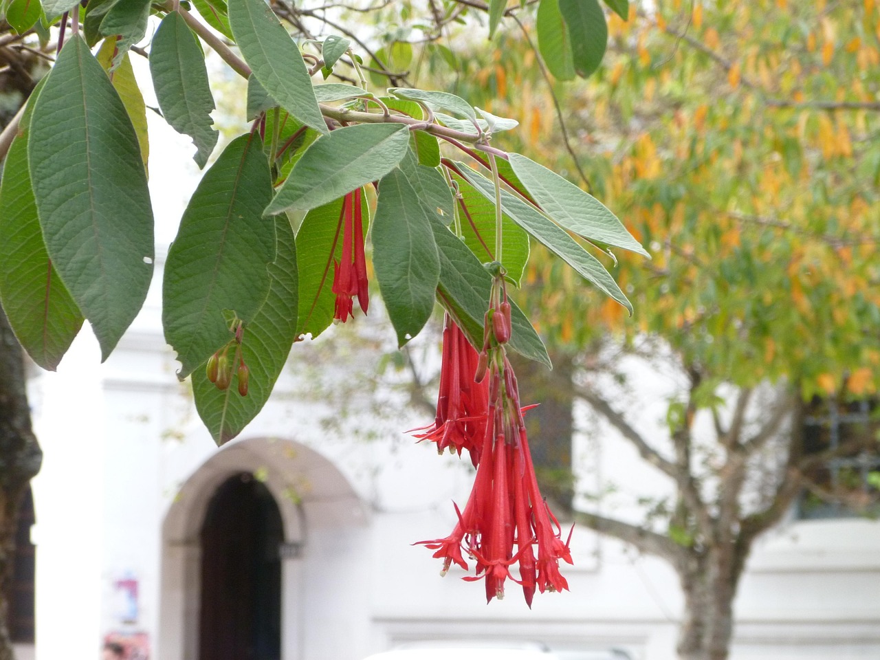 Cuenca Ecuador Viaje - Foto gratis en Pixabay - Pixabay